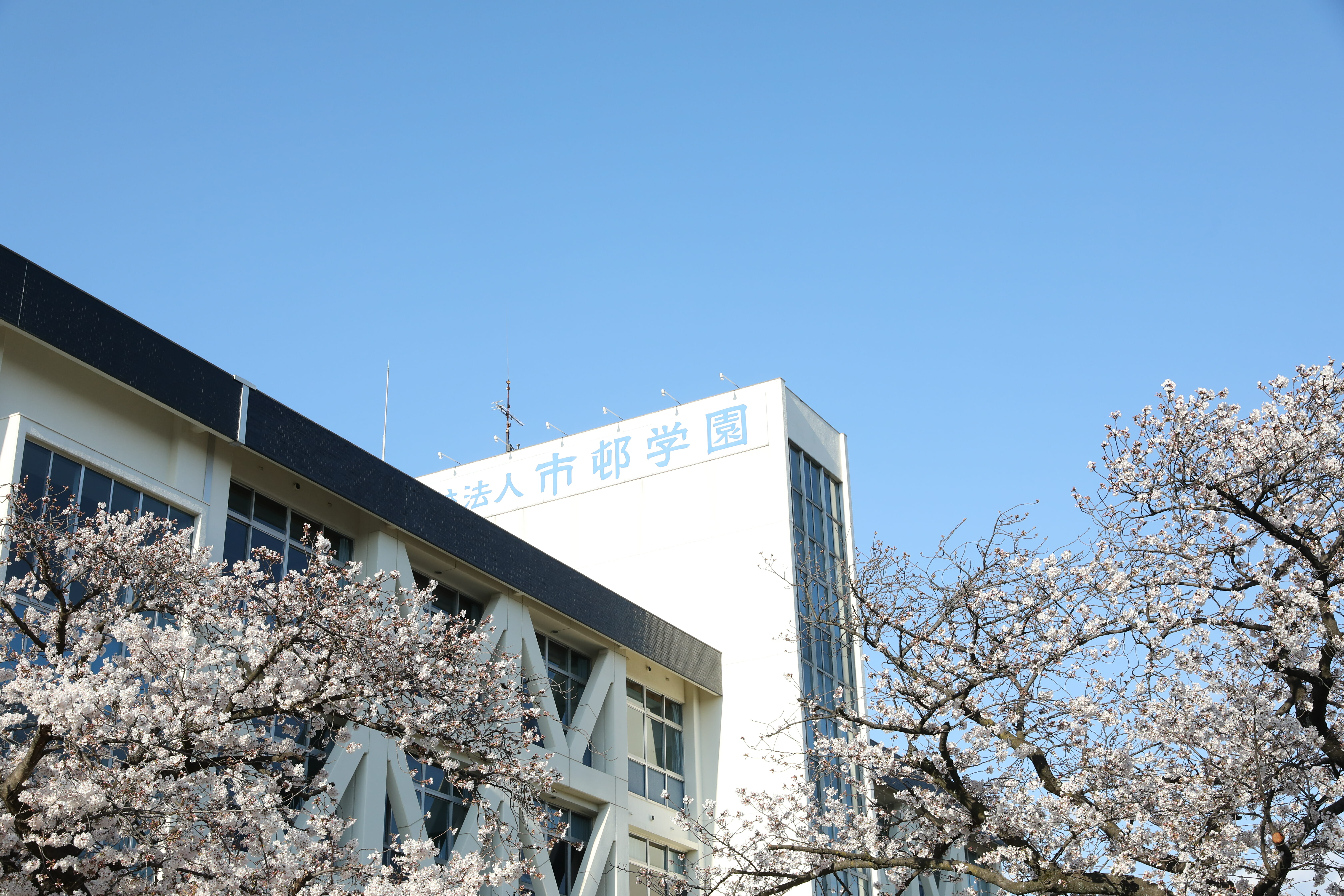 学校法人市邨学園 名古屋経済大学市邨中学校 市邨高等学校